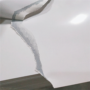 Black Core Cardstock | CPPS