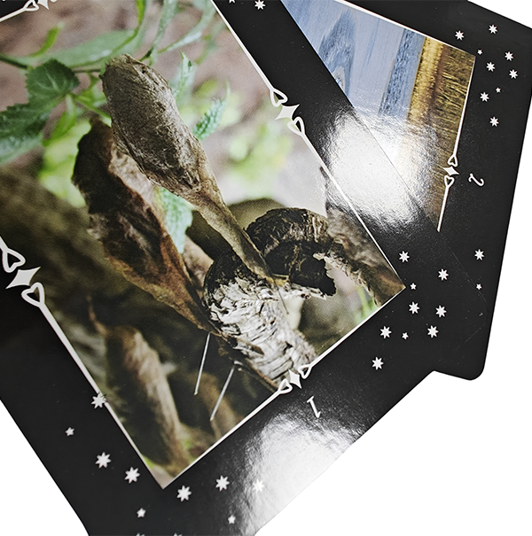 Common Finishing | CPPS