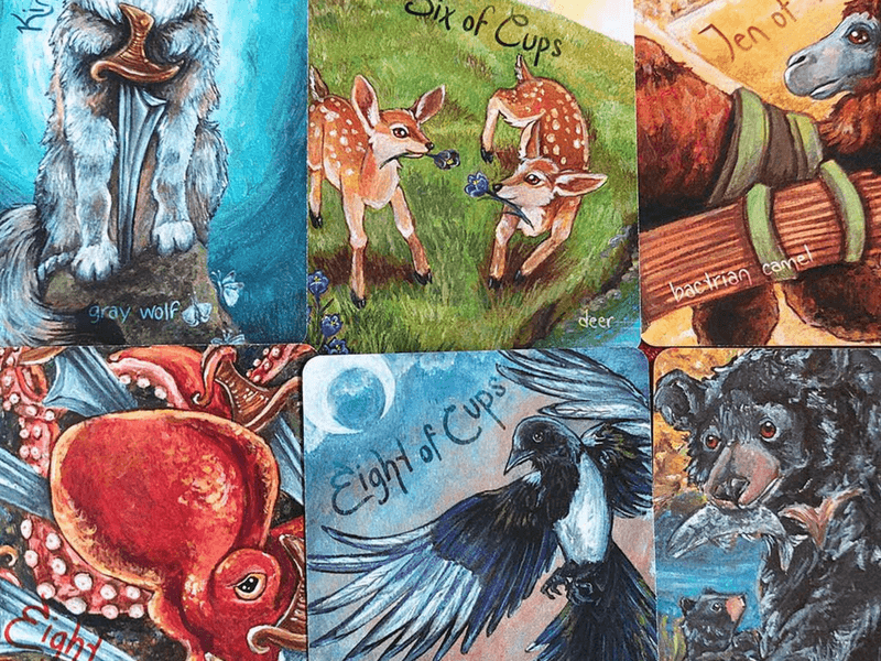 A Comprehensive Hands-On Guide to Tarot Deck: Cardstock, Finishes ...